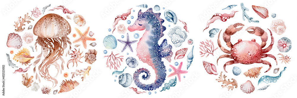 Watercolor illustrations of marine animals octopus, seahorse, crab ...