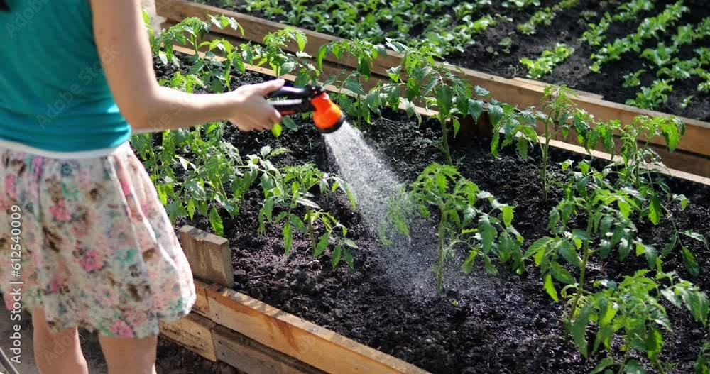 Close-up of a stream of water pouring from a sprinkler. Water plants ...