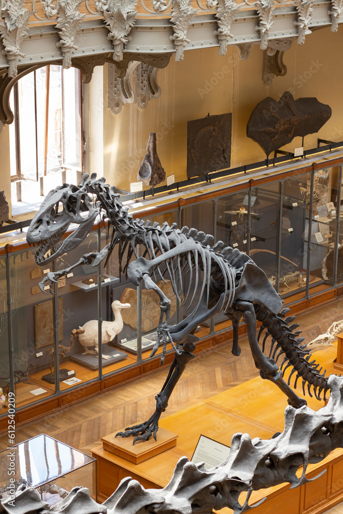 Paris, France. June 1, 2023. National Museum of Natural History ...