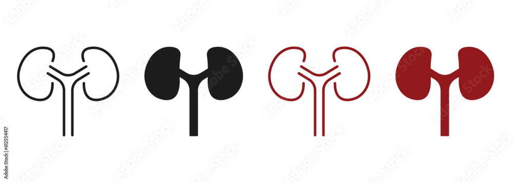 Human Kidney Line and Silhouette Color Icon Set. Anatomy of Renal Organ ...