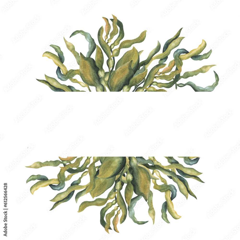 horisontal label of seaweed, coral and shells. Hand-drawn watercolor ...