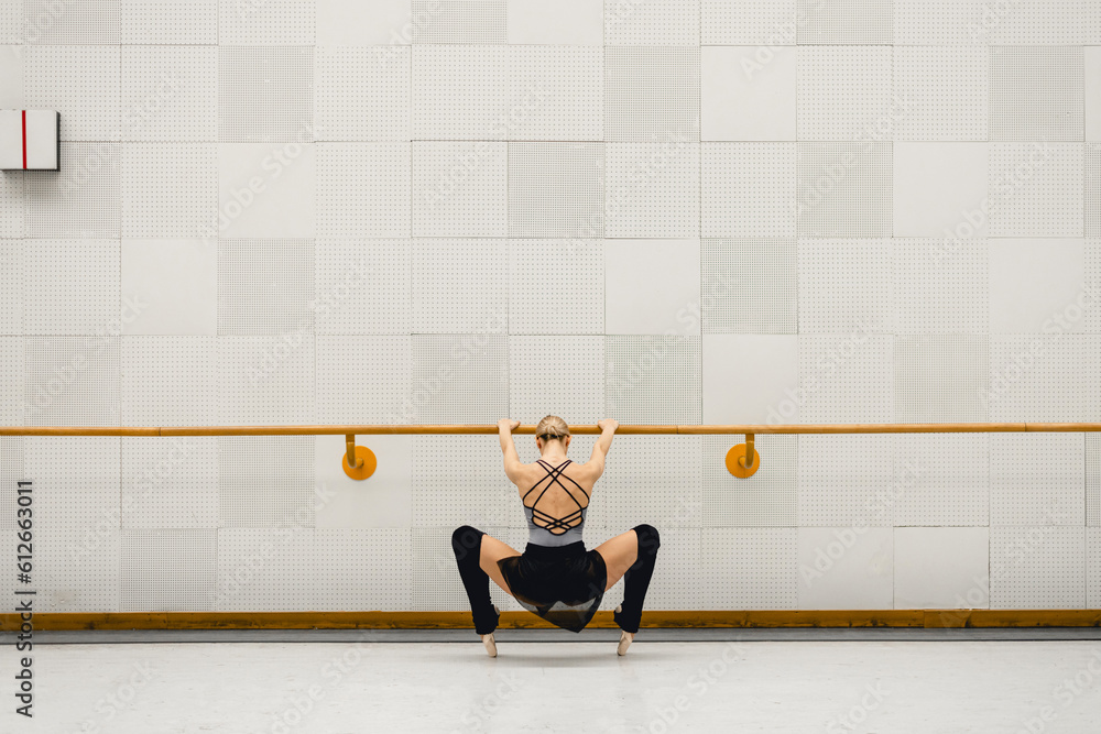 Balet Dancer Stock Photo | Adobe Stock