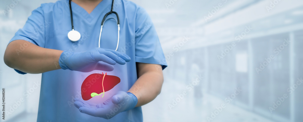 Medical worker hand protect liver and gallbladder anatomy between two ...