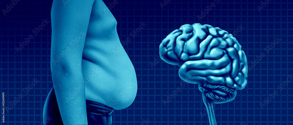Obesity And The Brain as weight gain and overweight or obese medical ...