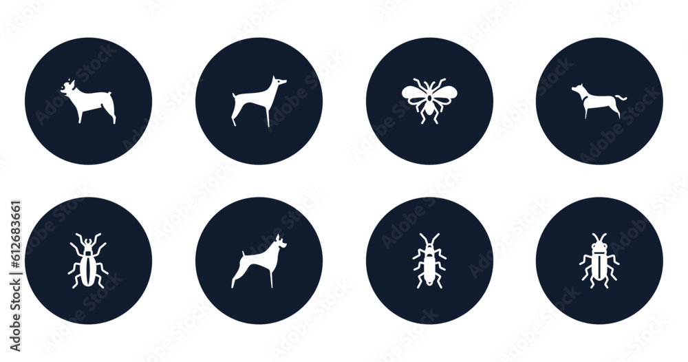 Vecteur Stock insects filled icons set. flat filled icons sheet ...