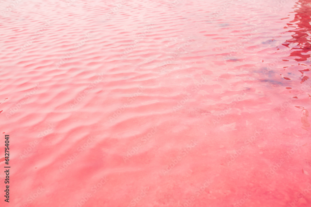 Pink lake - texture of pink salt as a background, unusual nature. A ...