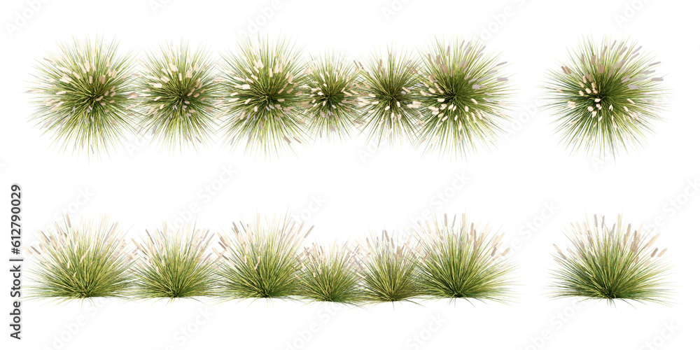 isolated cut out grass in 2 different view option, best for landscape ...