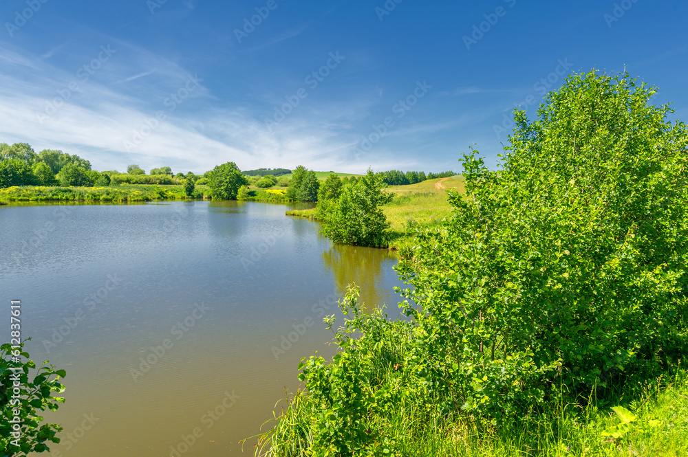 summer landscape, sultry summer days, a lake with warm water, hazel ...