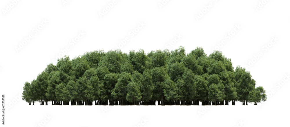 group of trees isolated on a transparent background, big trees in the ...