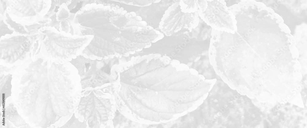 Abstract neutral nature concept background for design presentation ...