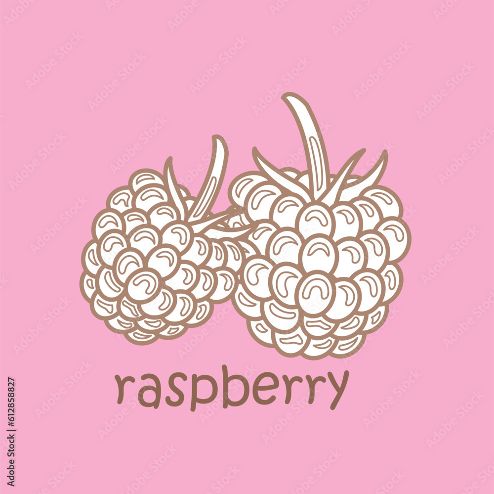 Alphabet R For Raspberry Vocabulary School Learn Study Word DIgital ...