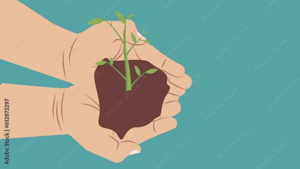 save earth tree animation of hand holding tree seed growing animation ...