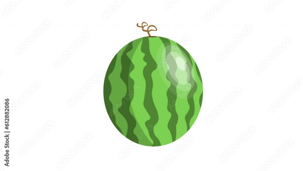 Animated Whole Watermelon Fruit isolated on white background. Fresh ...