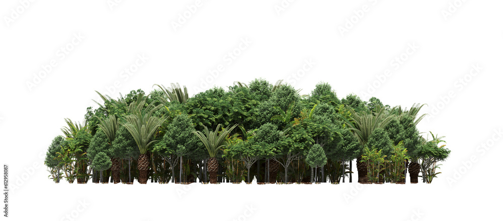 group of trees isolated on a transparent background, big trees in the ...
