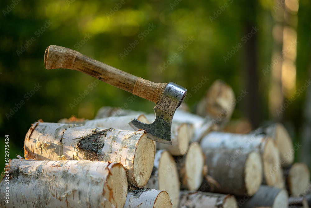 Foto de Stick an iron axe with a wooden handle into a round log.Chop ...