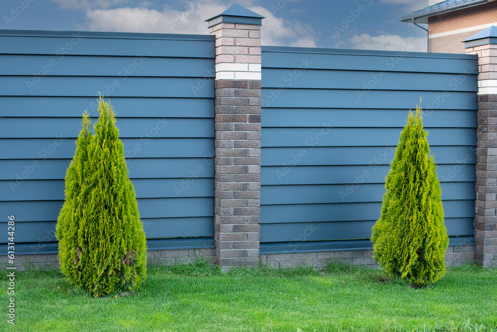 Metal horizontal planked blue color fence around house with thuja trees ...