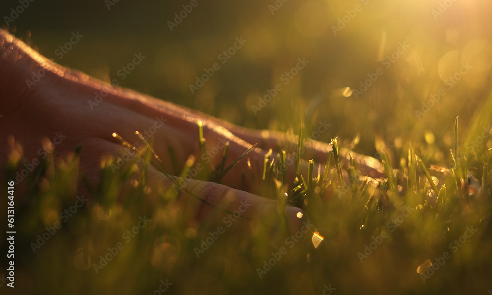 Close up of man fingers touching fresh wet green grass after spring ...