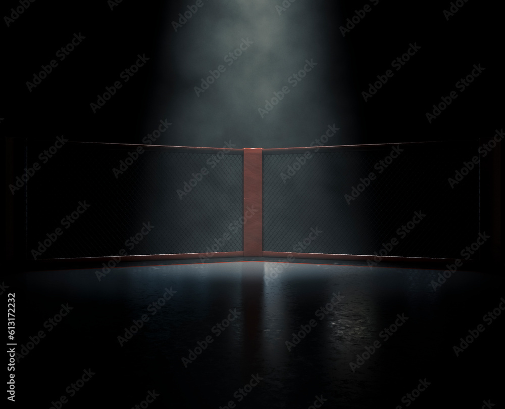 MMA Octagon Spotlight Corner Stock Illustration | Adobe Stock
