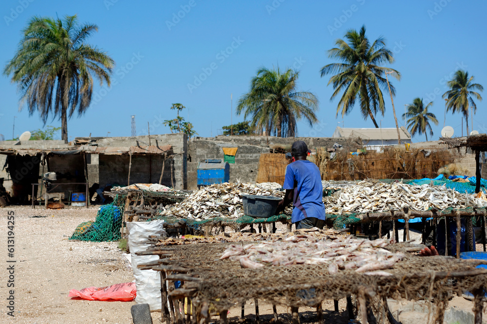 Séchage du poisson dans un village de pêcheurs au Sénégal Stock Photo ...