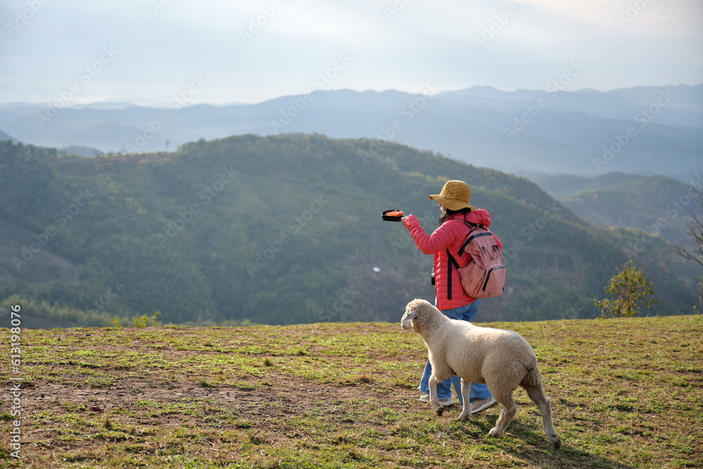 Asian tourist holding tray of food which is shredded carrots to feed ...