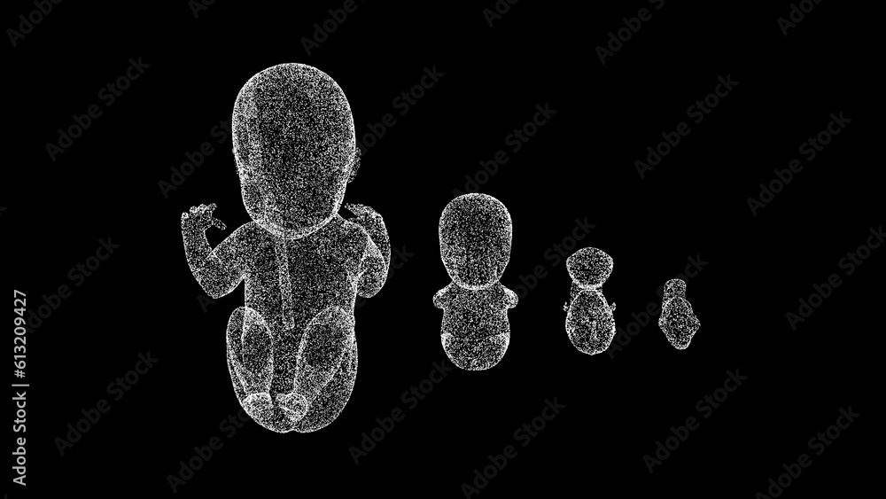 3D human Embryo on black bg. The development of the human embryo ...