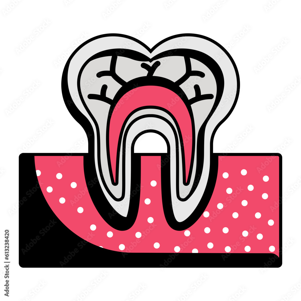 Teeth with pulp visible blood Vessels concept, The Anatomy of a Tooth ...
