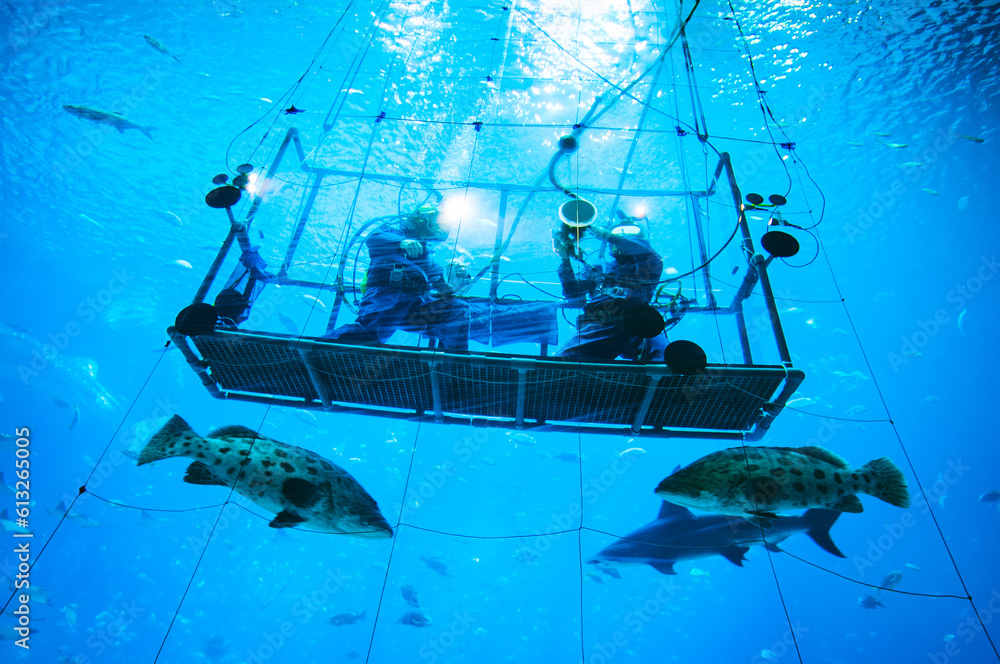 Two workers at the Georgia Aquarium clean the inside of the Ocean ...