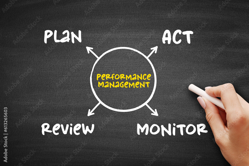 Performance management - process of ensuring that a set of activities ...