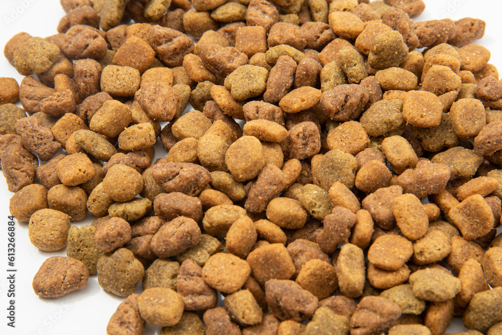 Nutrición de Primera Clase para tu Compañero Canino: Imagen de ...