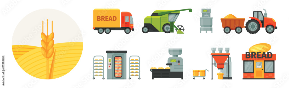 Stages of Production of Bread from Harvest to Baking Vector Set Stock ...