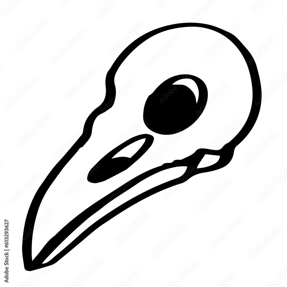 Bird skull. Hand drawn black line art vector illustration. Death symbol ...