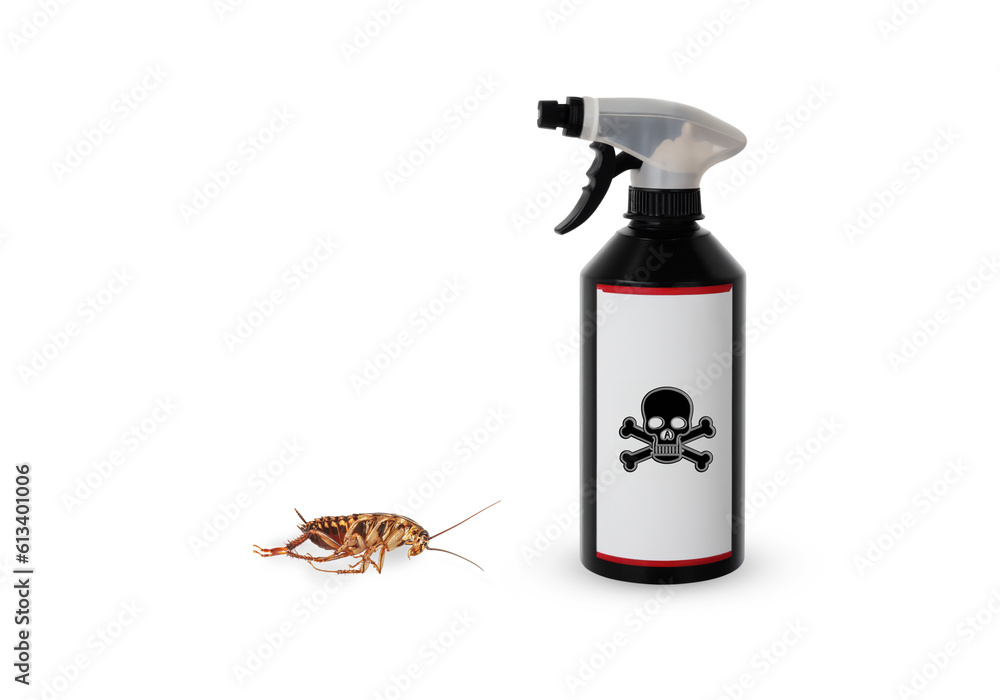 Cockroach spray with spray cans isolated on white background with ...