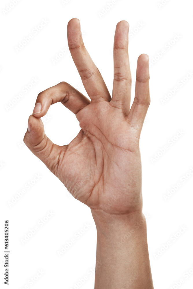 Approve, perfect and hand with yes sign for agreement on isolated, PNG ...