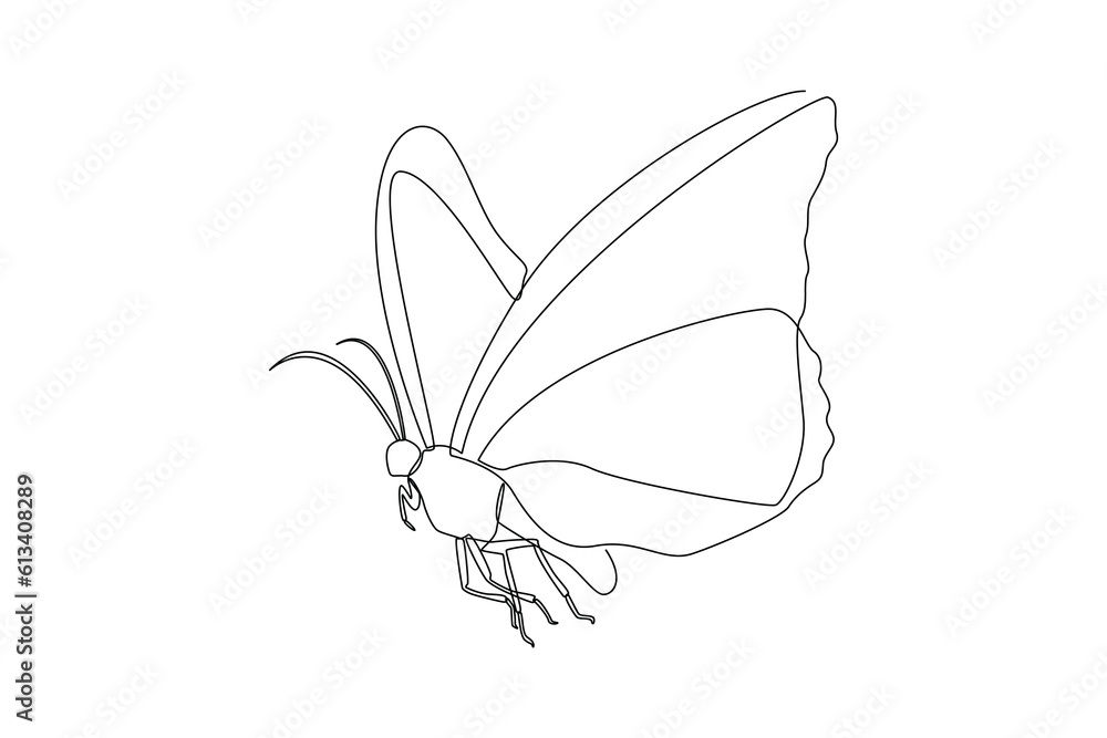 Continuous one line drawing insects concept. Single line draw design ...