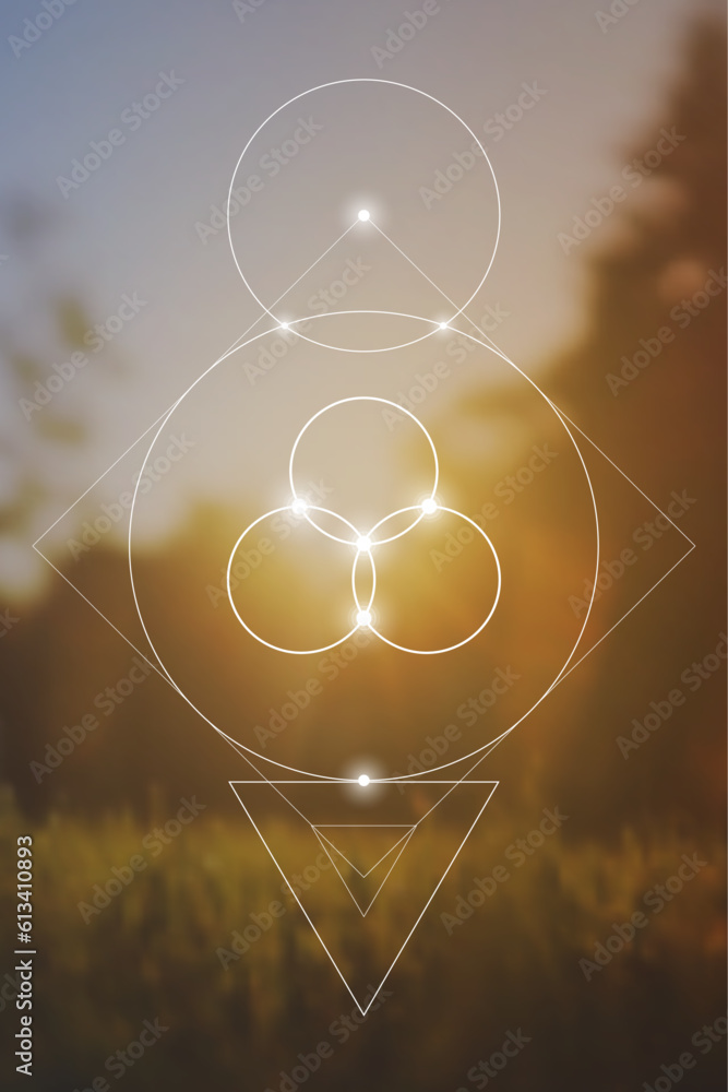 Flower of life. Tree of life. Sacred geometry spiritual new age ...
