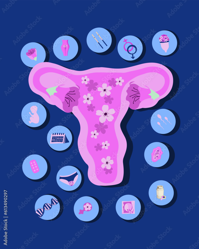 Vector isolated illustration of female fertility. Menstrual cycle ...