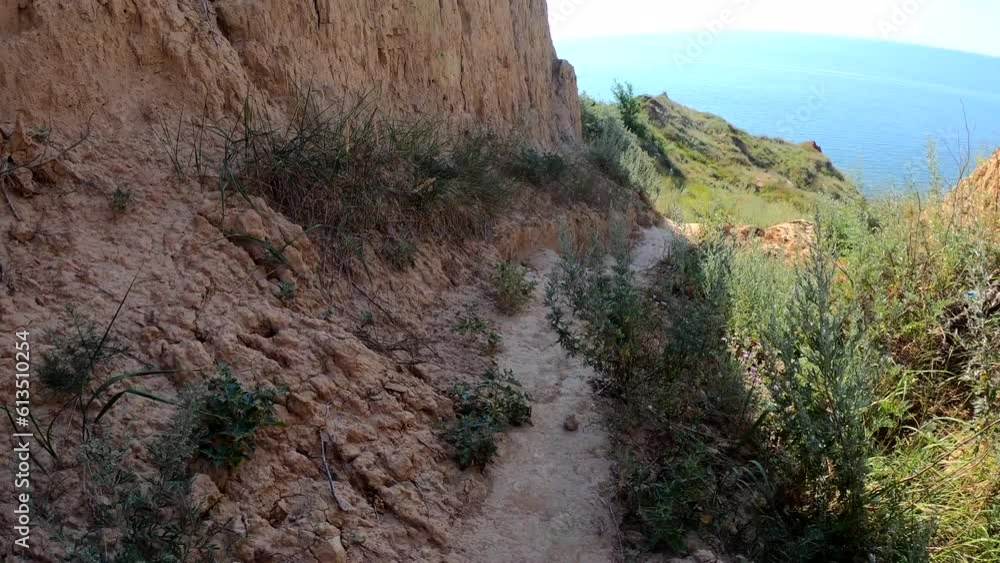 Person walking along dirt earthen path with green grass between ...