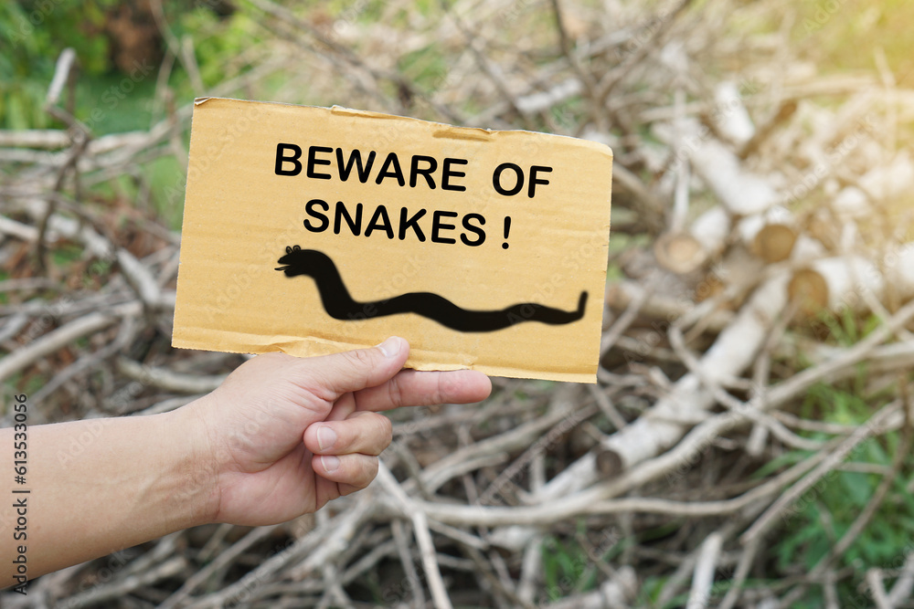 Close up hands holds paper card with words BEWARE OF SNAKES! at pile of ...