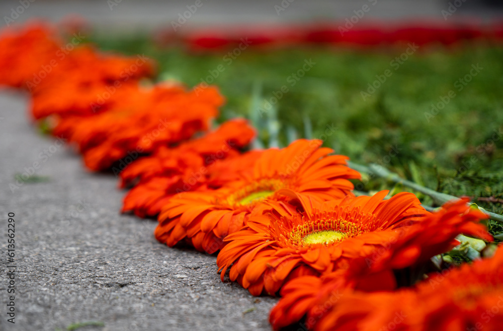 Red flowers in the foreground lined up on the street, creating the edge ...