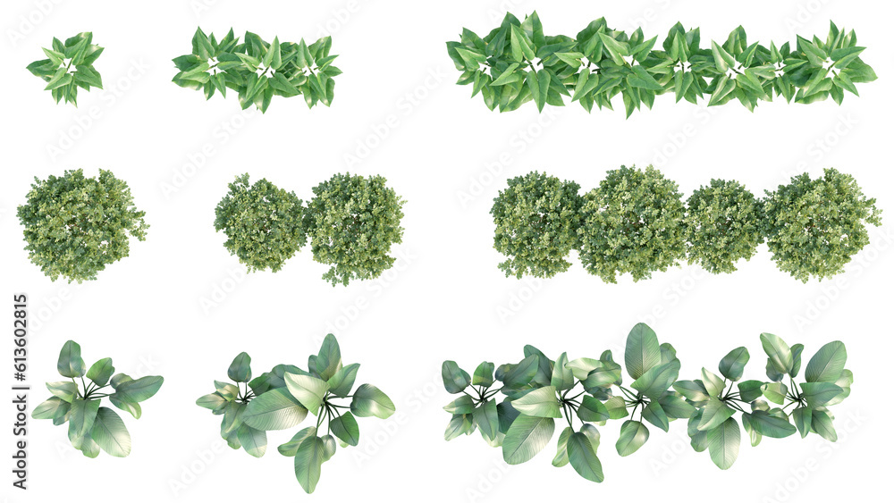 set of trees rendered from the top view, 3D illustration, for digital ...