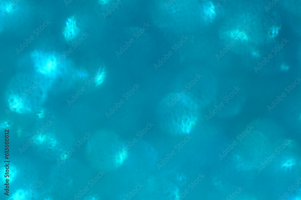 Colored photo background out of focus photographed with lens flares as ...