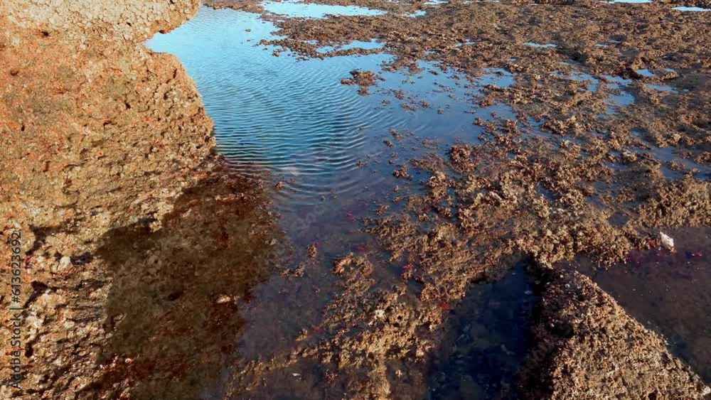 Beautiful brown ocean reef and water pool reflecting blue sky. Ripples ...