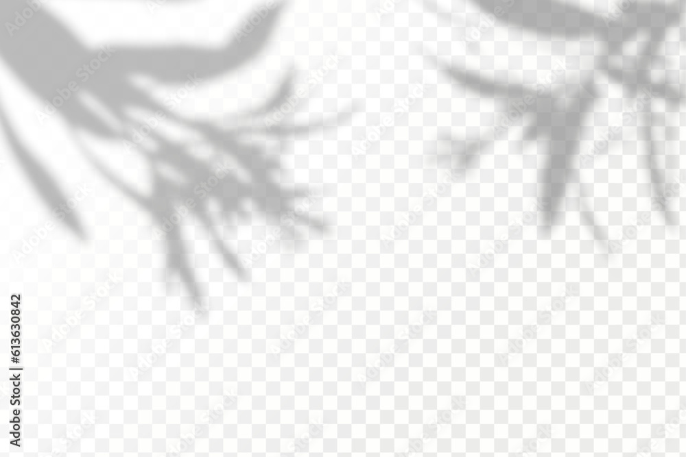 The effect of overlaying shadows. Natural light layout.Realistic shadow ...