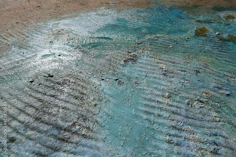 Bright blue-green algae (cyanobacteria) on water and beach sand. Close ...