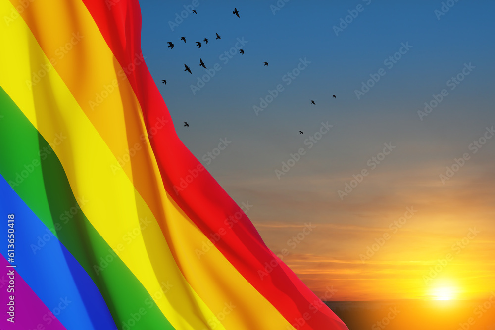Waving LGBT pride flag on sunset sky with flying birds, rainbow flag ...