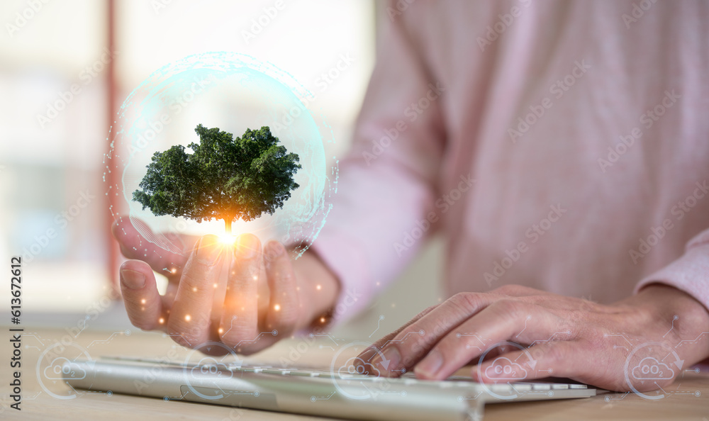 Reduce CO2 emission concept.Sustainable development and green business ...