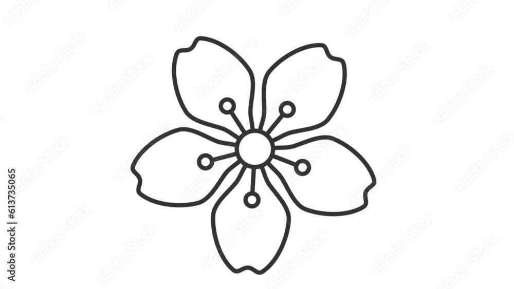 Cherry blossom icon animation. Animated line flower head rotating ...
