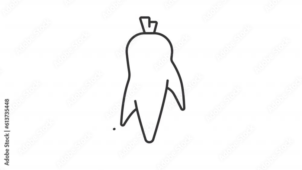 Animated ginseng root line icon. Korean food animation. Growing plant ...