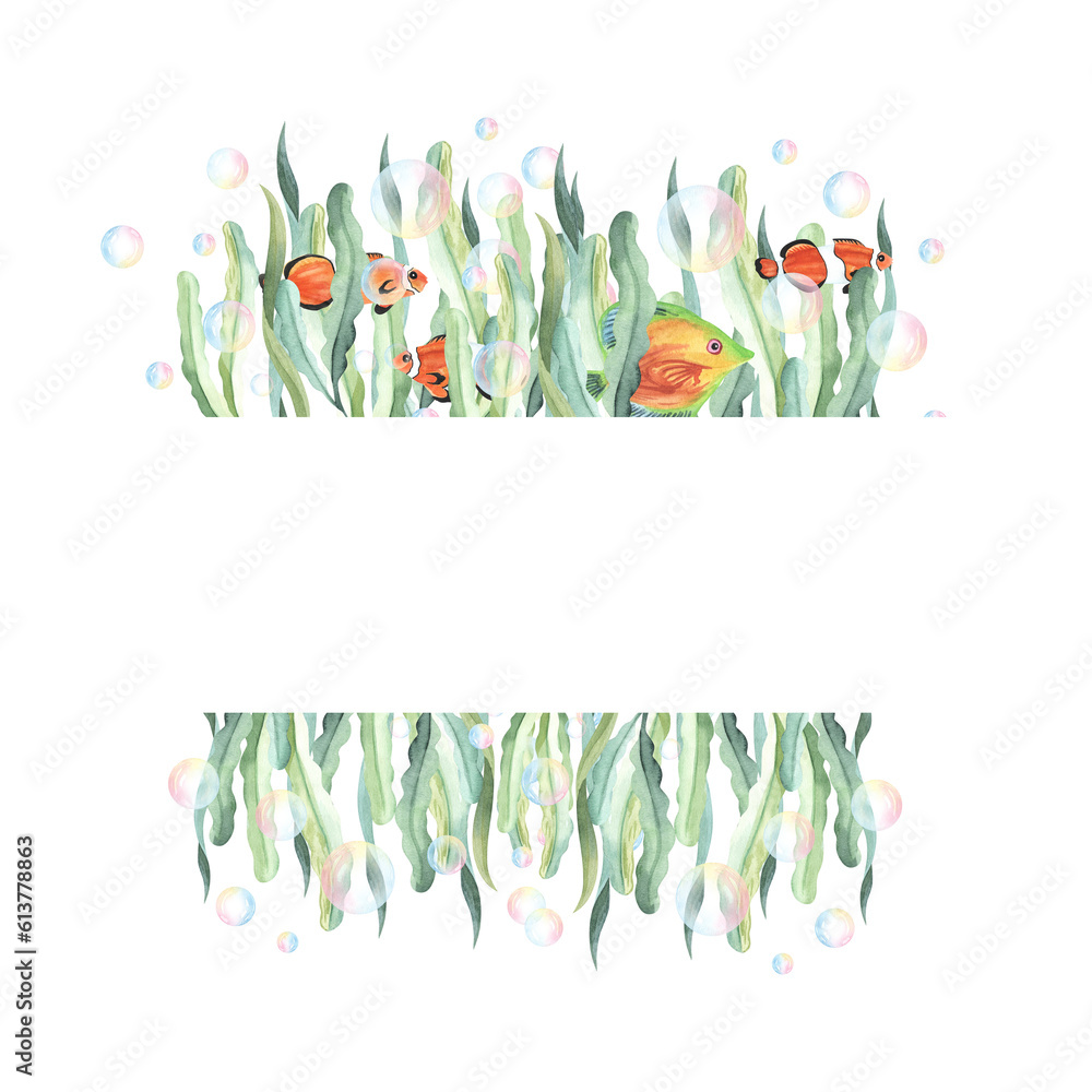 horisontal label of seaweed algae and clownfish . Hand-drawn watercolor ...