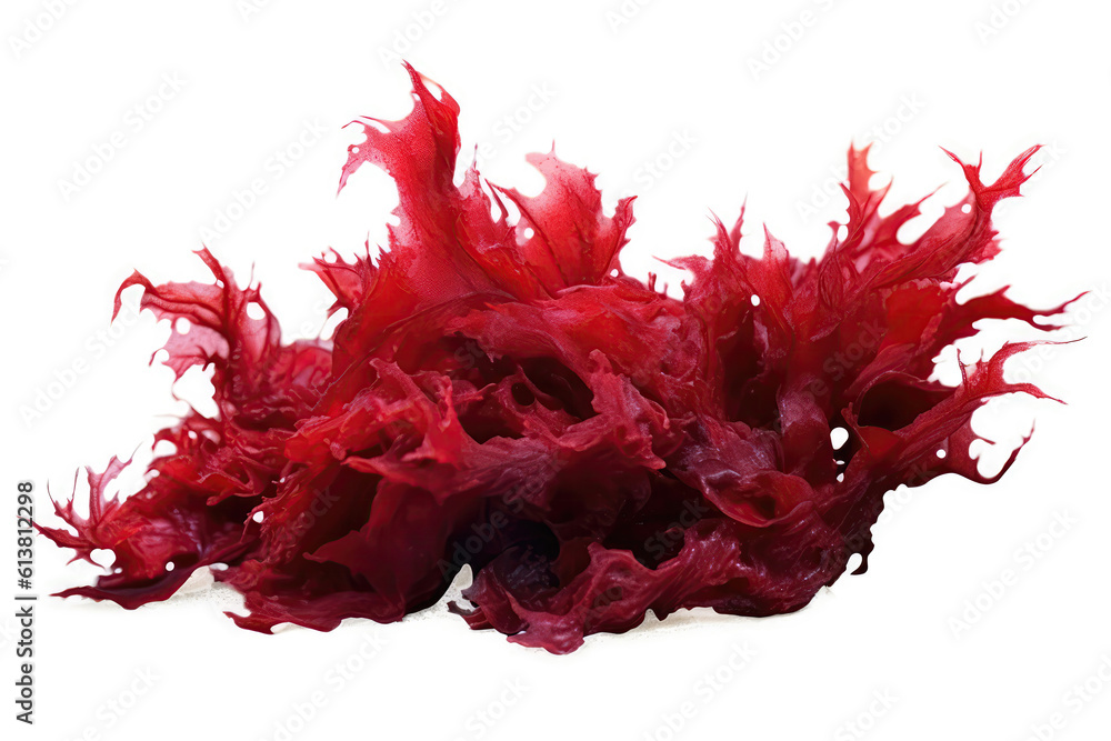 Red Algae Algae On White Background. Generative AI Stock Illustration ...